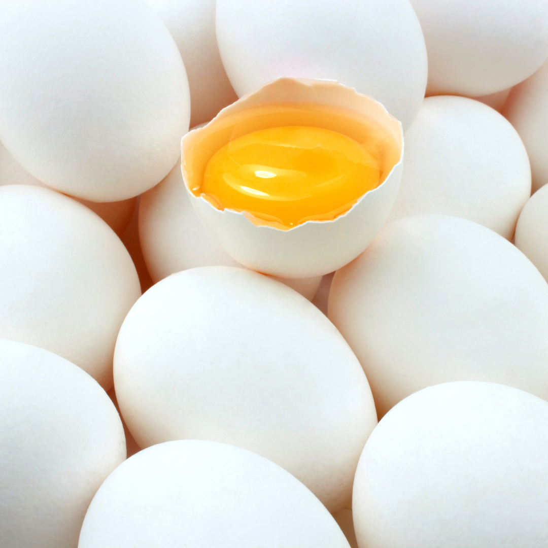 Ovos de Galinha: Uma Maravilha Nutricional para a Saúde Global - Mix ...